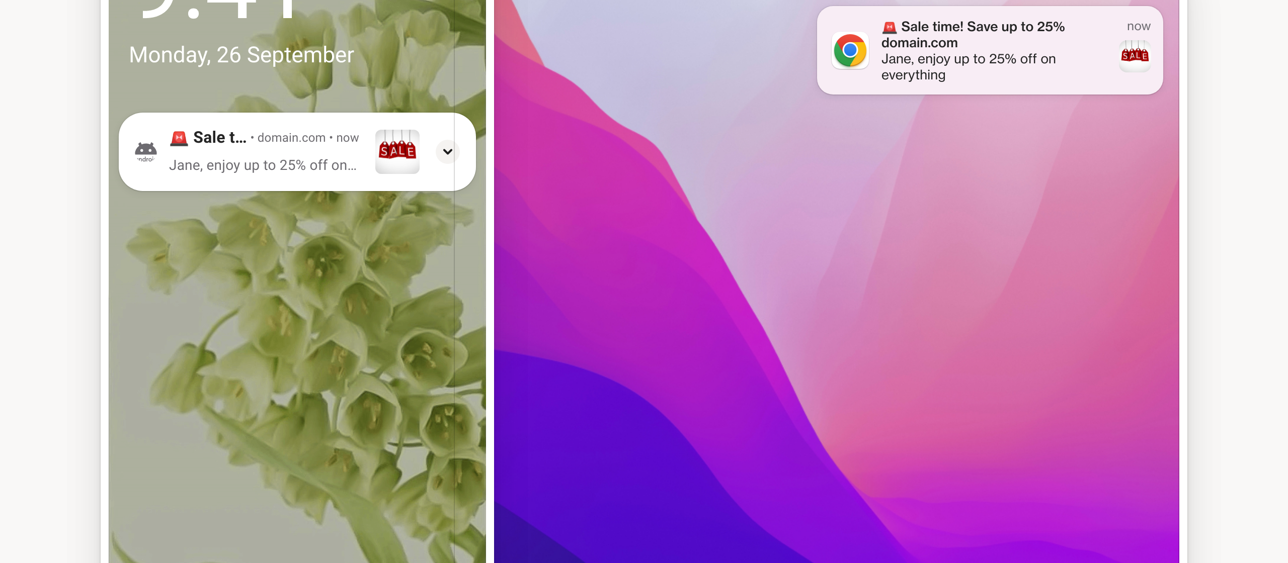 Sale notification | Ortto templates